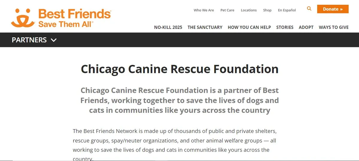 Fundaciones de ayuda para perros